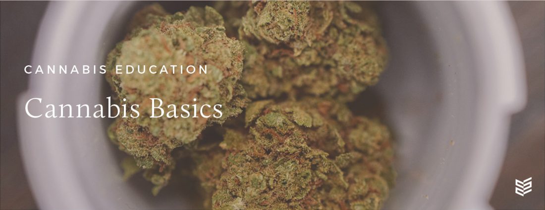 Cannabis Basics – Spiritleaf Inc
